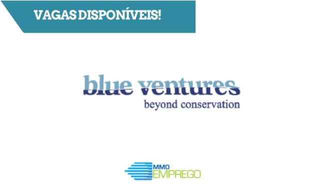 Head of Advocacy at Blue Ventures - MMO Jobs