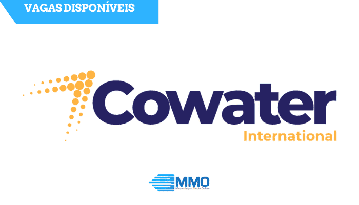 Team Leader at Cowater International - MMO Jobs