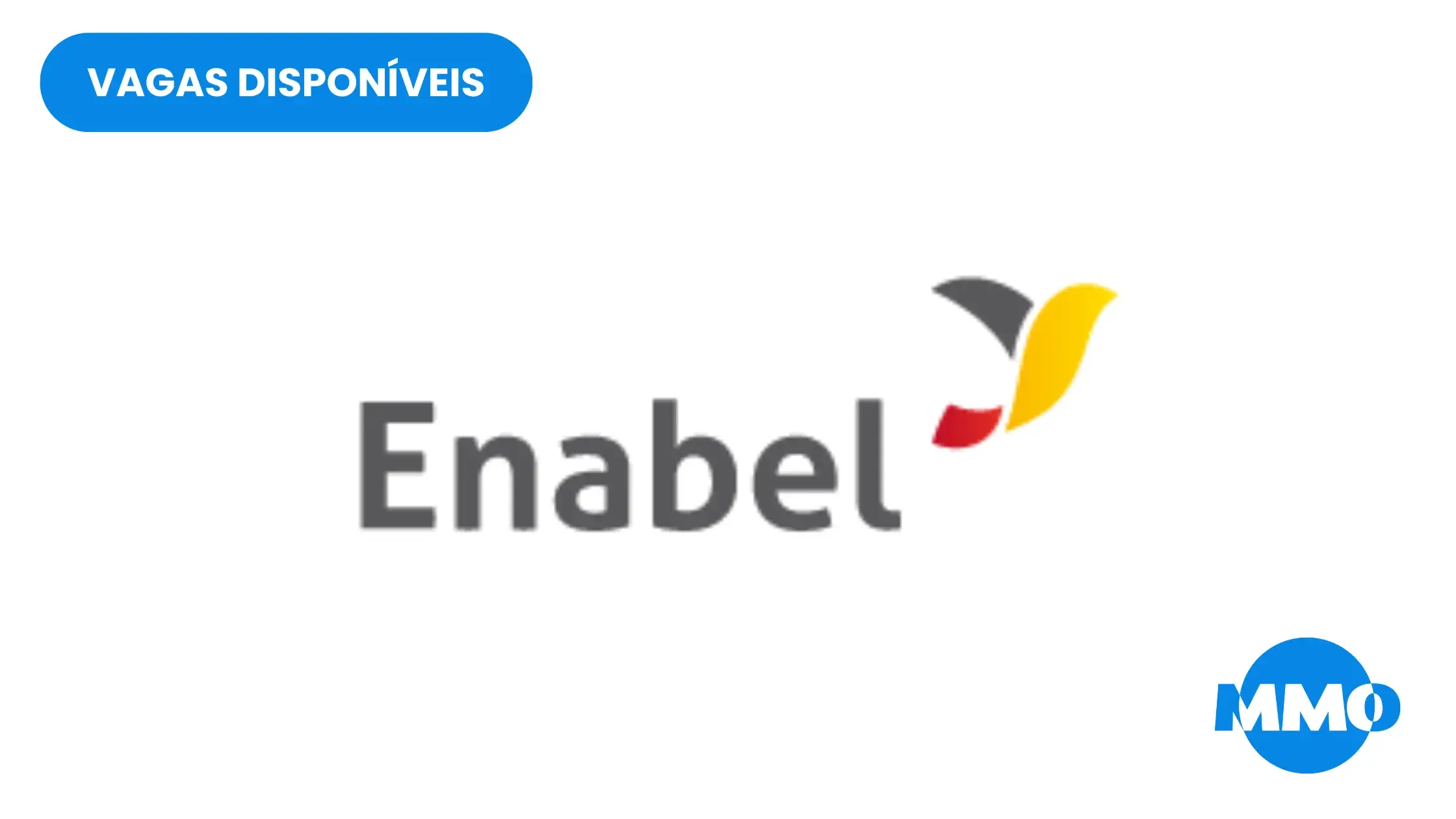 Security Officer at Enabel - MMO Jobs