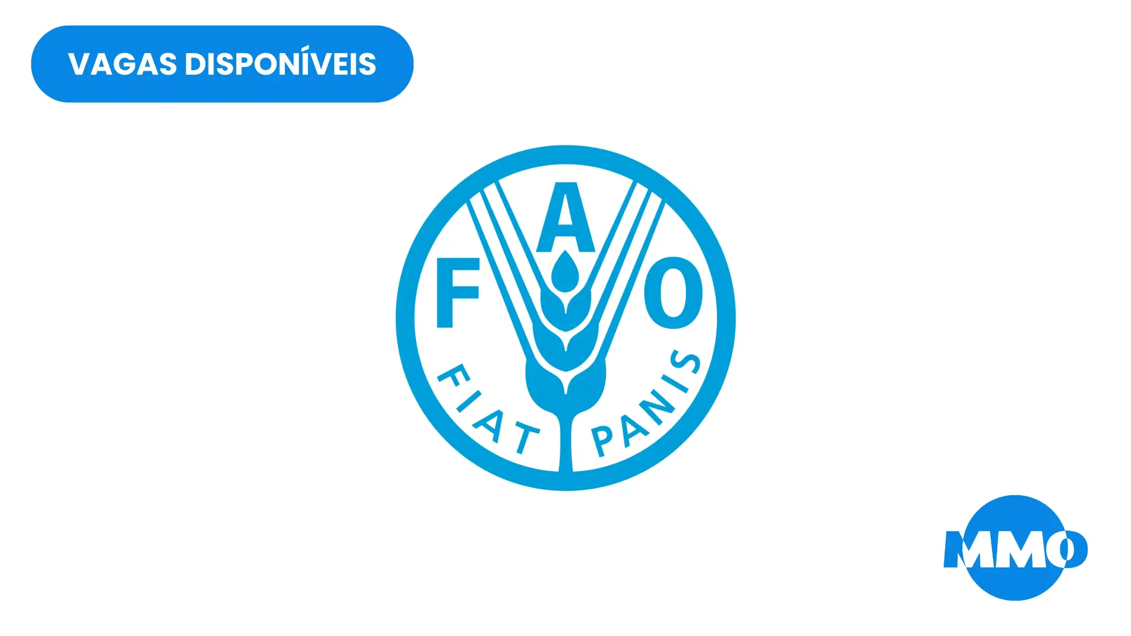 Provincial M&E Specialist at FAO - MMO Jobs