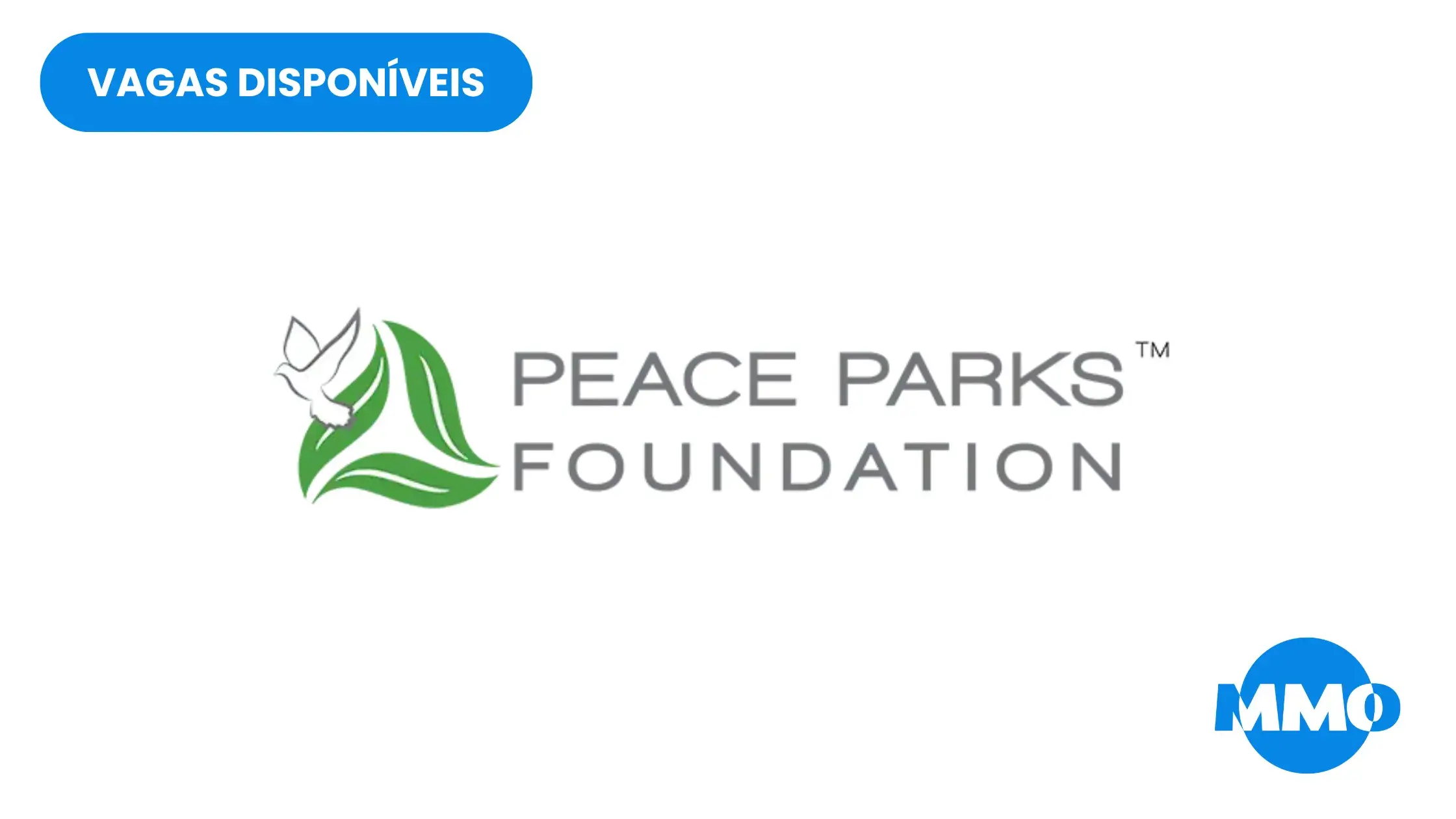 Human Resources Coordinator at Peace Parks Foundation - MMO Jobs