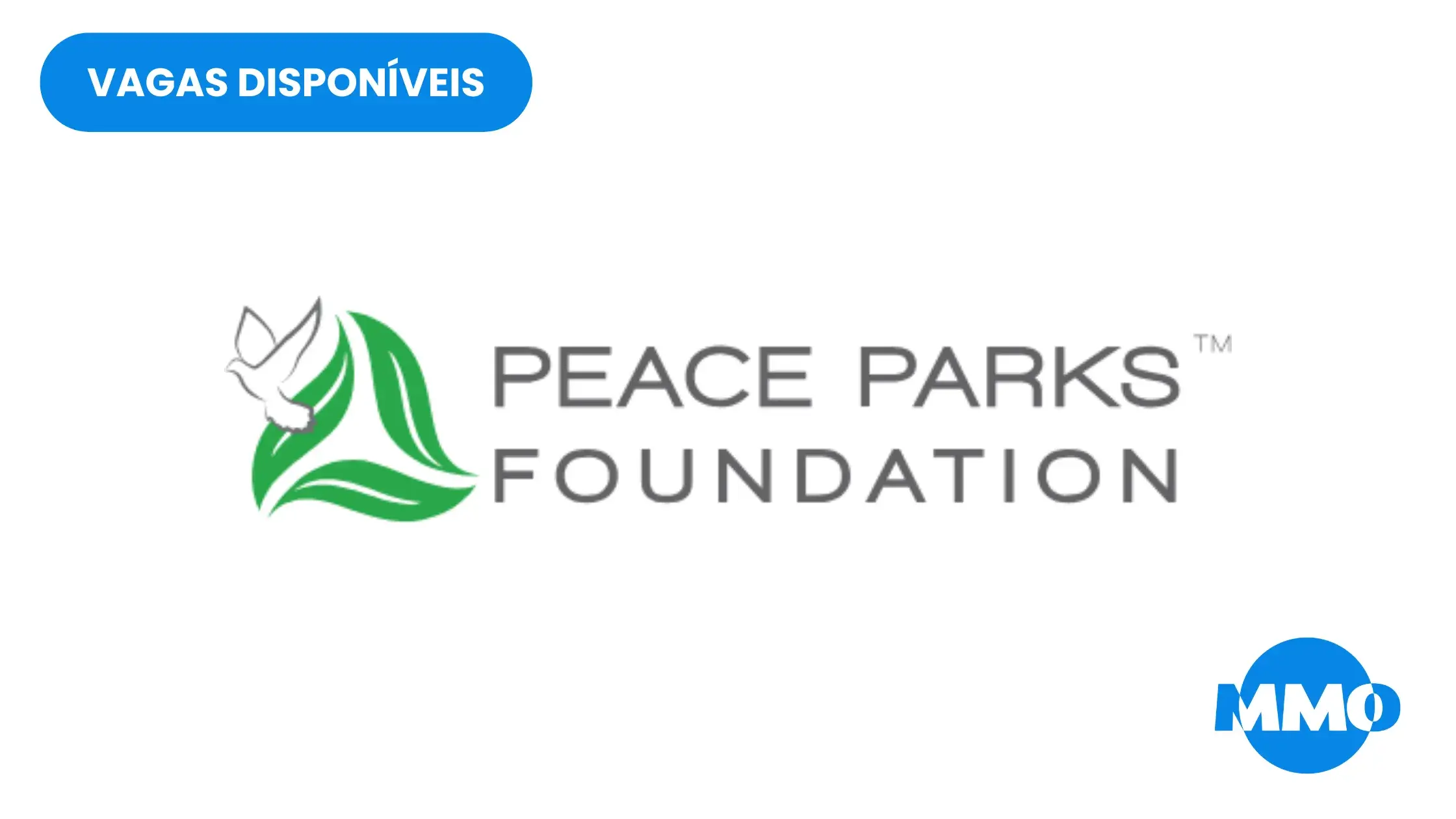 Operations Manager Banhine National Park at Peace Parks Foundation ...