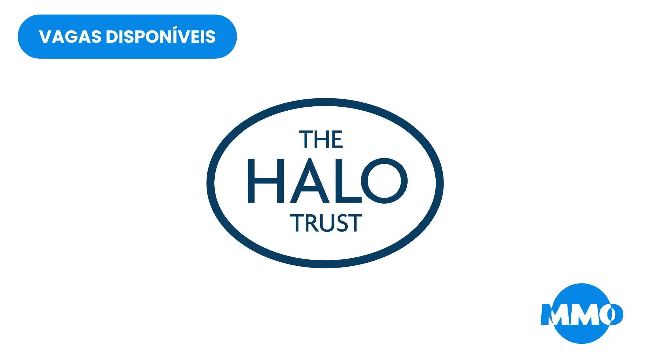 Technical Field Officer at The HALO Trust - MMO Jobs